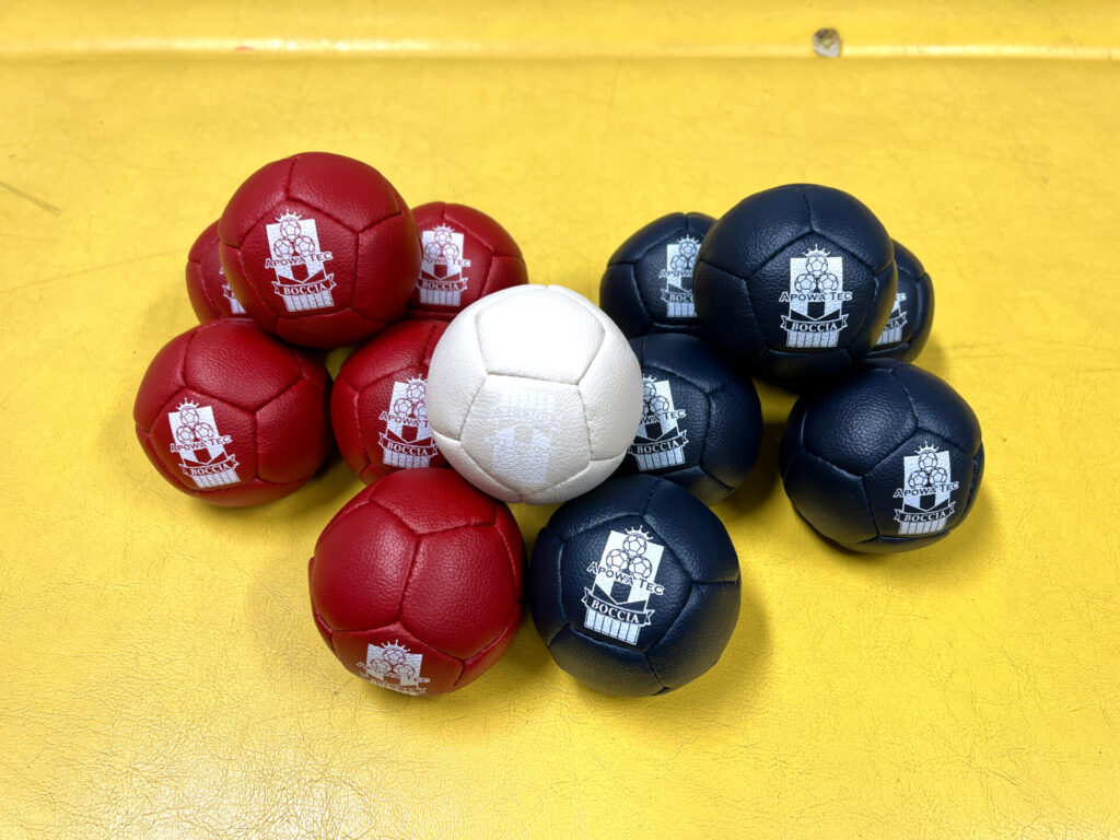 ＜理学療法学課程>白鳳祭でボッチャ体験やってます！ | 大和大学白鳳短期大学部